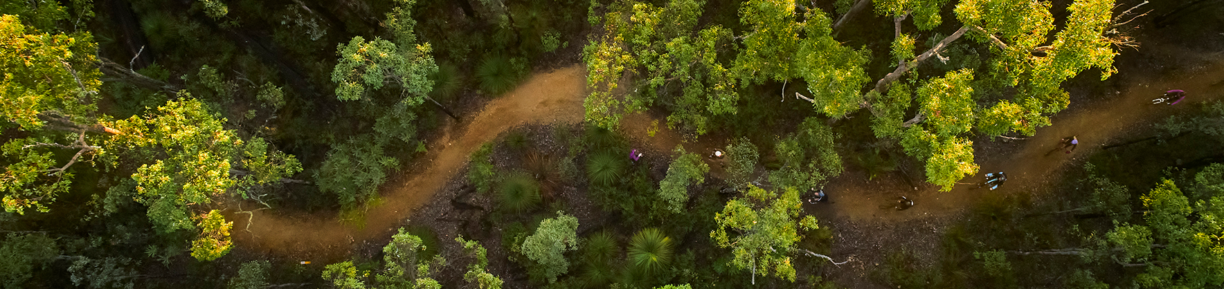 TransCollie | Transregional